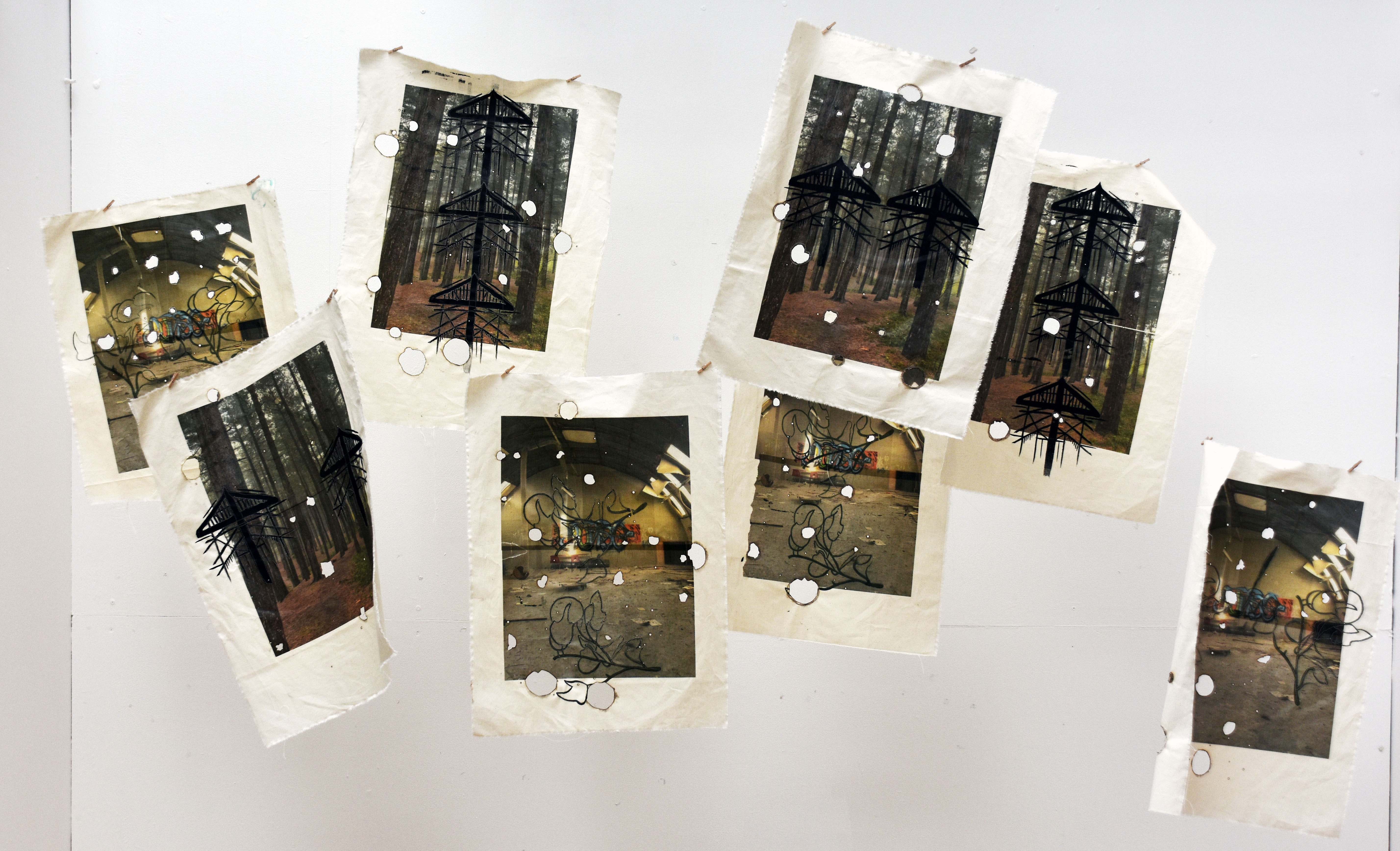 Foundation Level 4 - Nathaniel Ball | Southport College